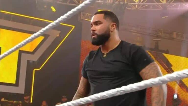 Former WWE Star Gable Steveson Victorious In MMA Debut - Wrestling News