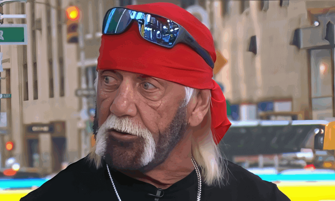 Hulk Hogan Says New Freestyle Wrestling Company Can Be 'As Big As UFC ...