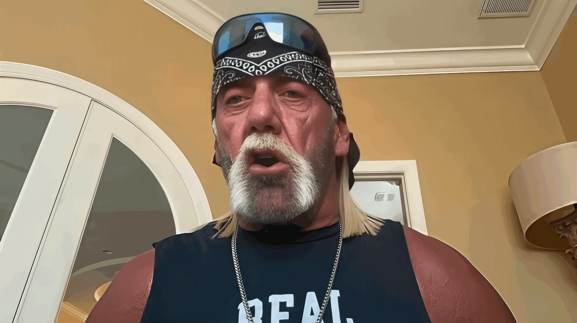 Hulk Hogan Confirms New $7 Million Venture Opposite Iconic Arena ...