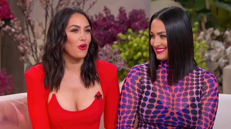 The Bella Twins To Compete In MrBeast's $1,000,000 Charity Challenge ...