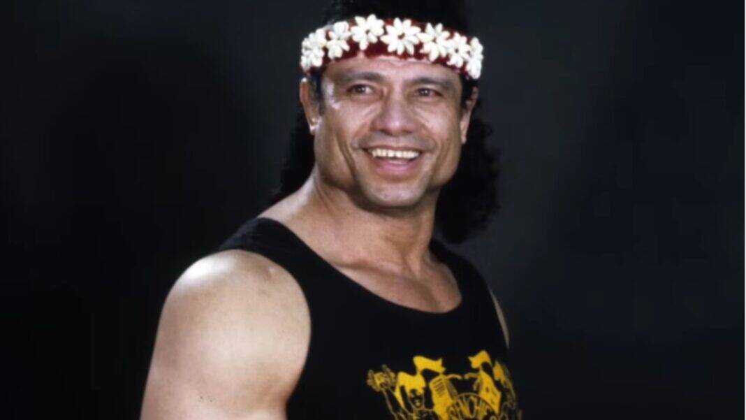 Jimmy Snuka: The Cold Case That Haunted The Industry For Thirty Years ...