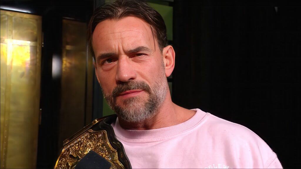 "Go Out, Breathe Some Air": CM Punk’s Advice To Angry Wrestling Fans ...